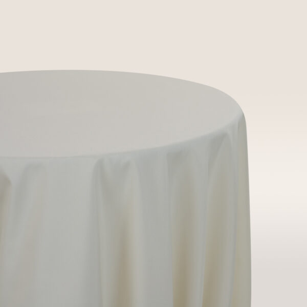 Ivory Poly - Party Reflections, Inc.