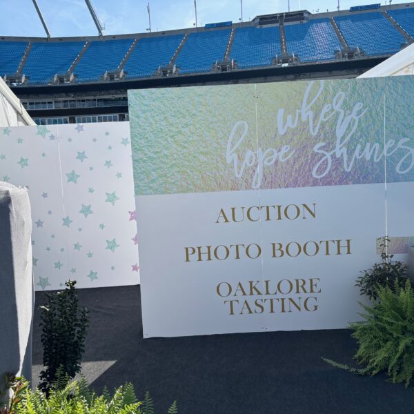 Lomax System Event Wall - Party Reflections, Inc.